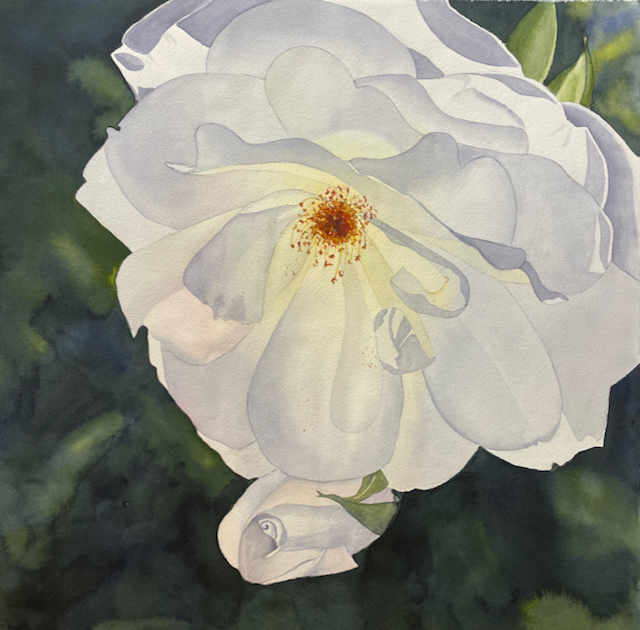 Amy-Lottes – Women in Watercolor
