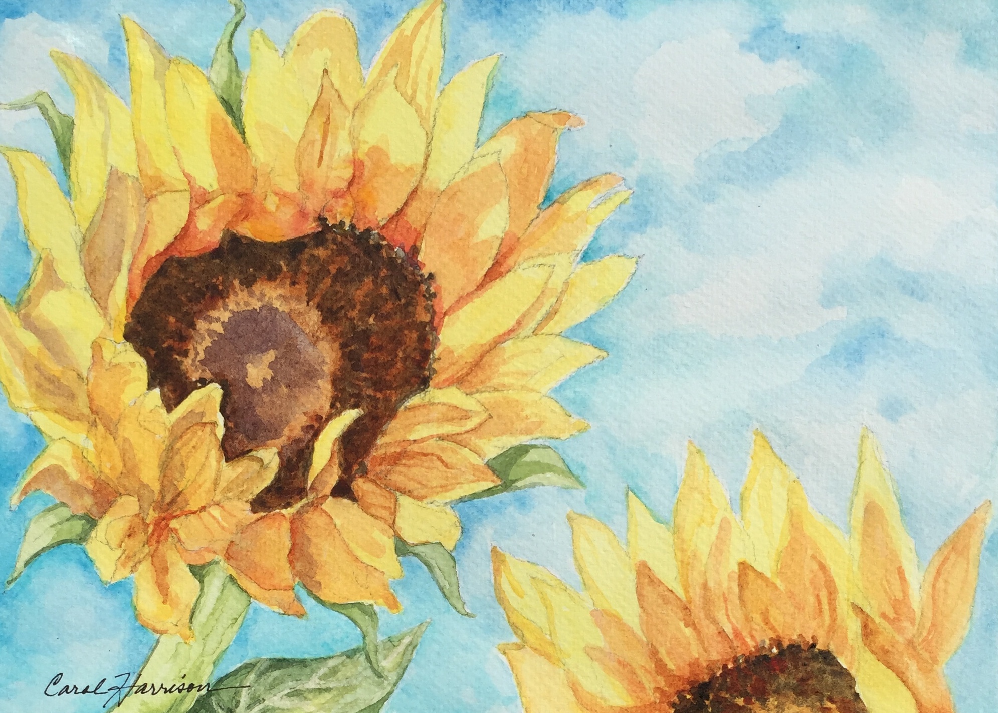 Carol-Harrison – Women in Watercolor