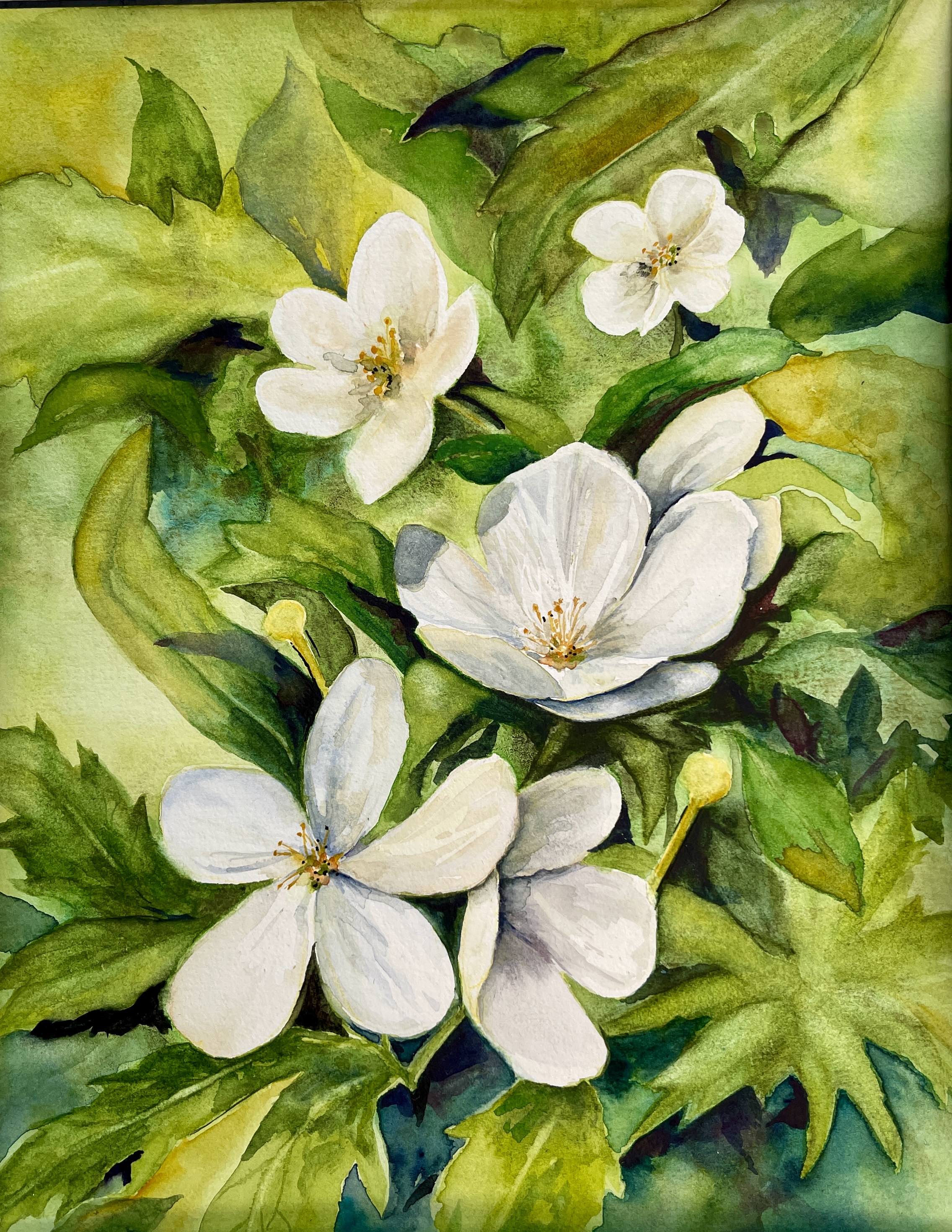 Elizabeth-Rohrbaugh – Women in Watercolor