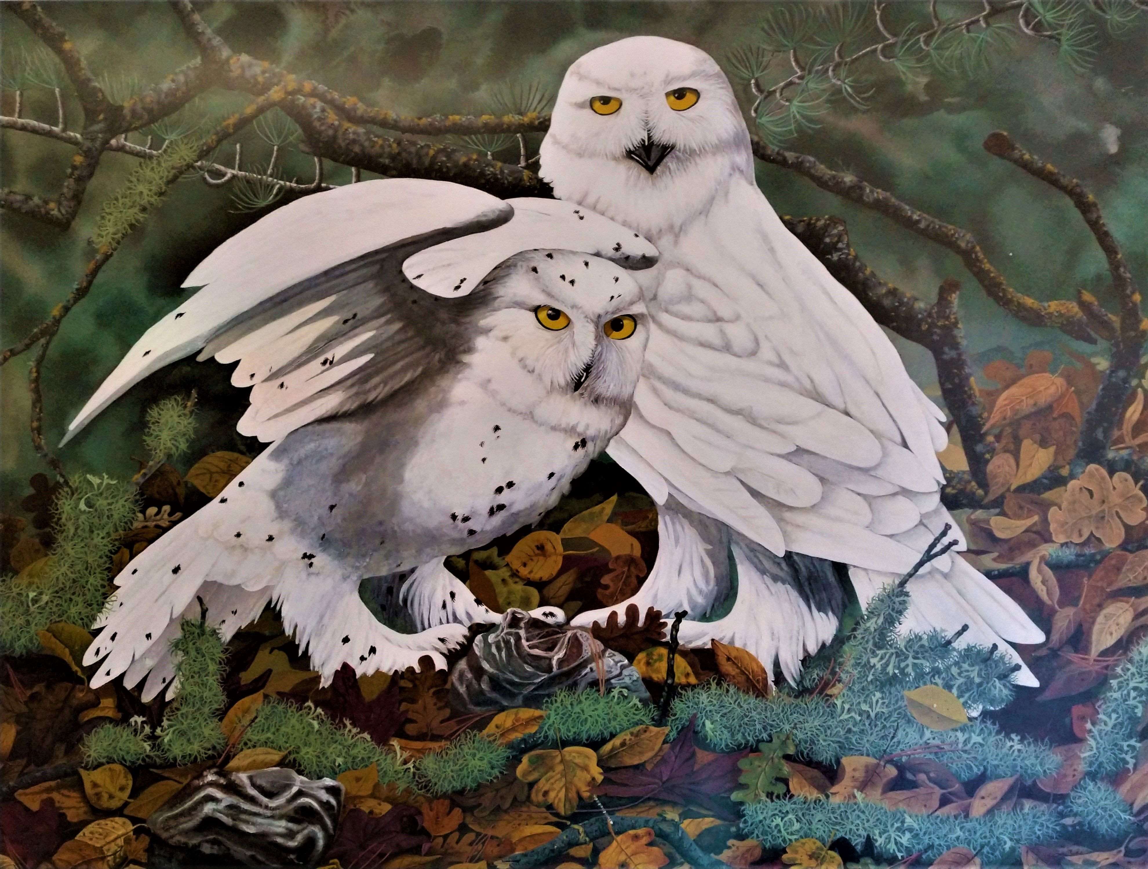 Robin-Davis – Women in Watercolor
